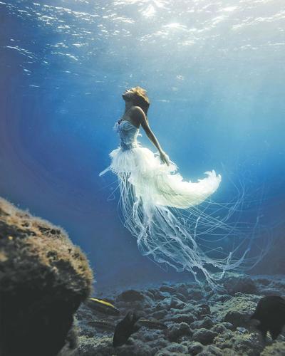 The Ocean Decade Exhibition Comes to Rookery Bay | Entertainment ...