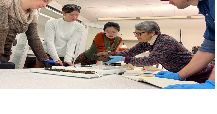 Radiocarbon Dating Reveals True Age of Key Marco Artifacts | Museums ...