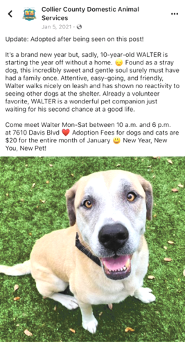 A Dog Named “Walter.” | Community | coastalbreezenews.com