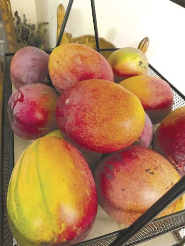 Marco Mangos and the Olds Sisters | Lifestyles | coastalbreezenews.com