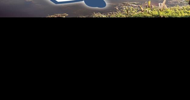 Clean Up Florida Waters: Local Realtors® Keep Waterway Clean ...