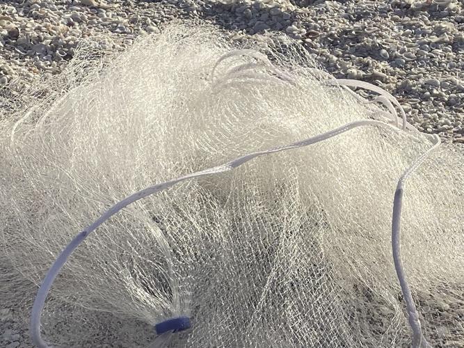 Sea Turtle Hazard – Discarded Cast Nets on Beach | Environment ...