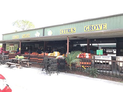 South Naples Citrus Grove is a Short Drive from Marco | News ...