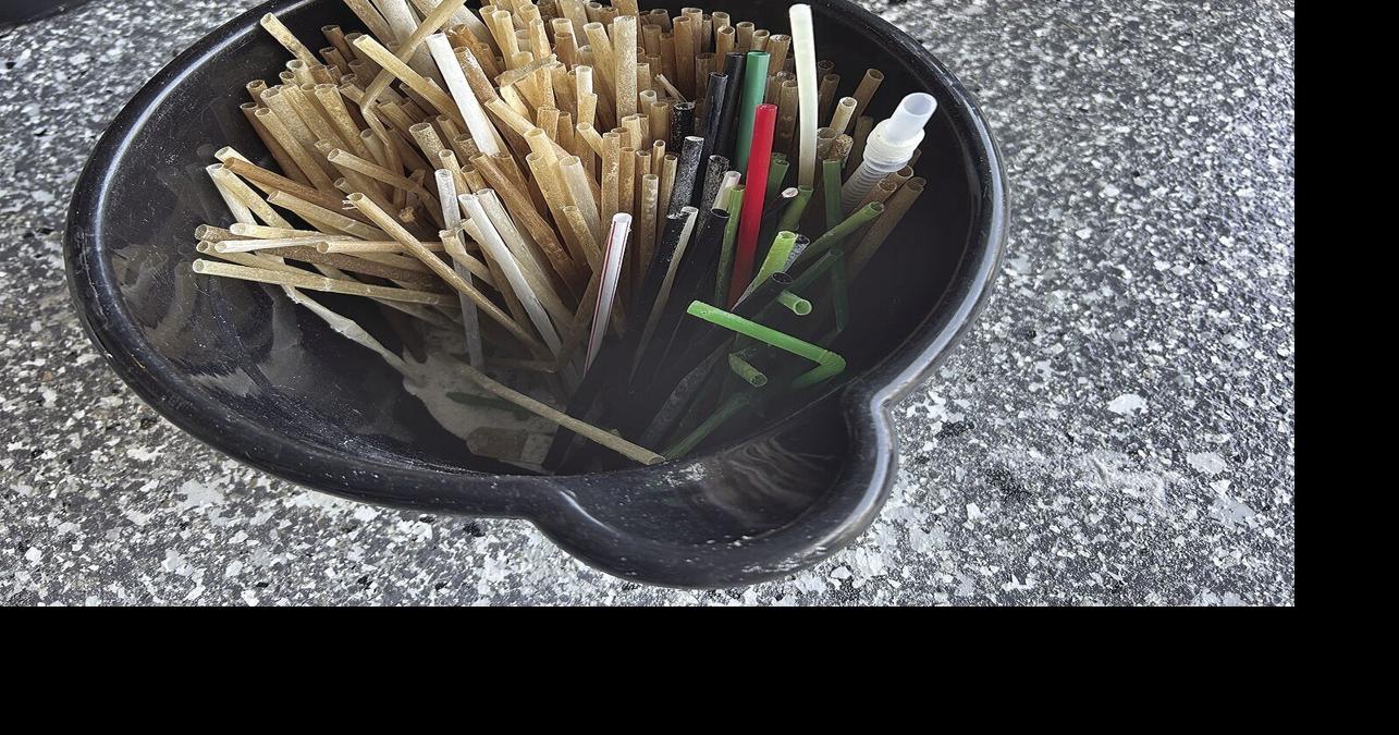 Plastic Straws a Danger to Sea Turtles | Environment ...