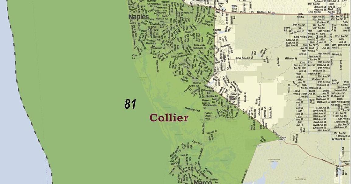 District 81 Candidates Talk Issues | News | coastalbreezenews.com