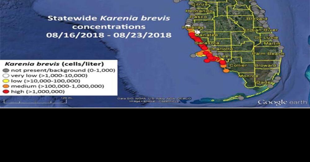 Apocalypse Marco… What If? | Opinion | coastalbreezenews.com