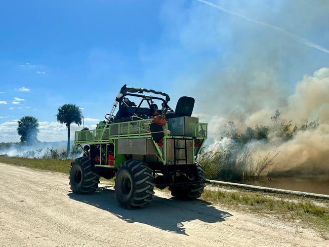 Fighting Fire with Fire at Big Cypress National Preserve | Environment ...