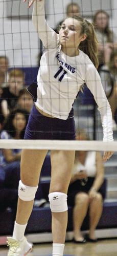 Rays Barely Break a Sweat in Easy Win Over Donahue Catholic | Sports ...