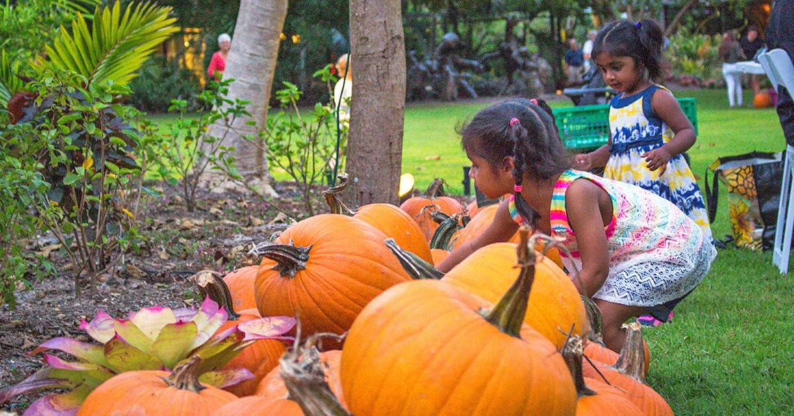 Fall Walk Comes to Naples Botanical Garden | News | coastalbreezenews.com