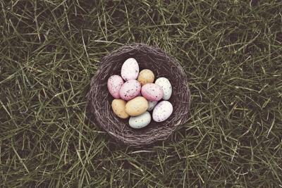 From the Beach Boy Chronicles | Beach Boy Chronicles ...