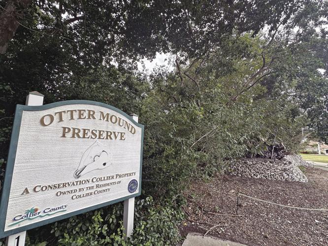 Conservation Collier: Years in Review | News | coastalbreezenews.com