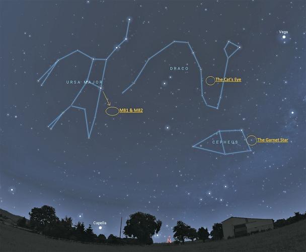 cepheus constellation nickname