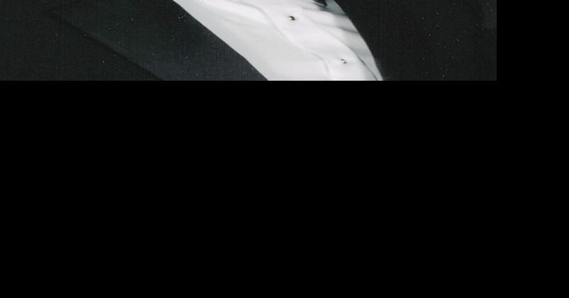 In Loving Memory of Anthony "Tony" Meilan | Obituaries ...