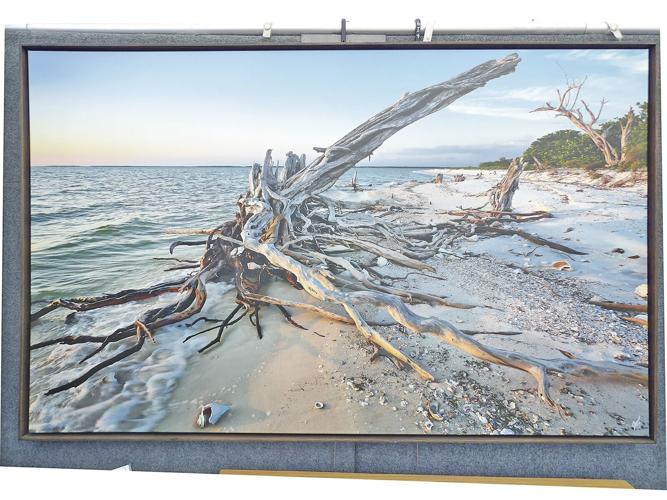 Art in the Park | Community | coastalbreezenews.com