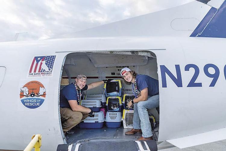Naples Shelter Animals Transported to Safety | Lifestyles ...