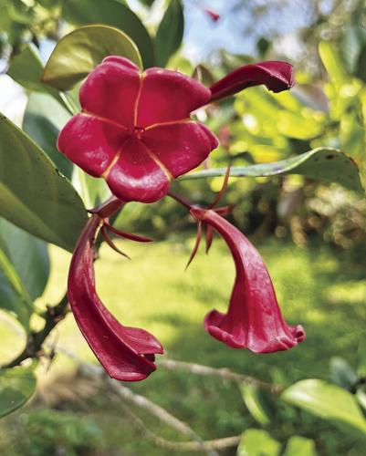 Notable South Florida People: Naturalist Roger Hammer | Lifestyles ...