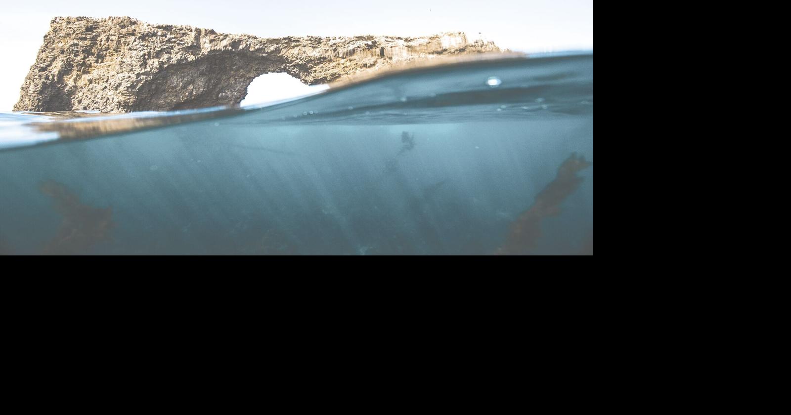 Water Seeks Its Own Level | Ask the CFP Practitioner ...