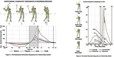 kinematic sequence golf backswing
