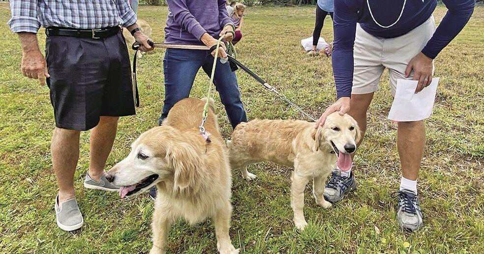 Blessing of the Pets Tradition Continues at United Church of Marco ...