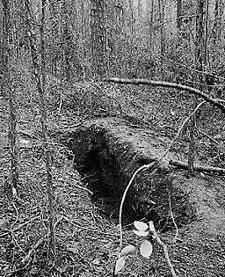 The Kidnapping of Barbara Mackle | News | coastalbreezenews.com