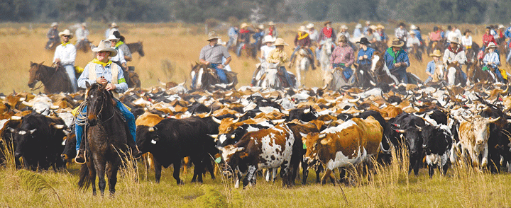 Museum Now Open with Florida Cowboy exhibit | Food & Entertainment ...