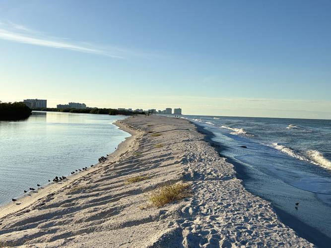 Sand Dollar Island Berm Maintenance and Repair | City ...