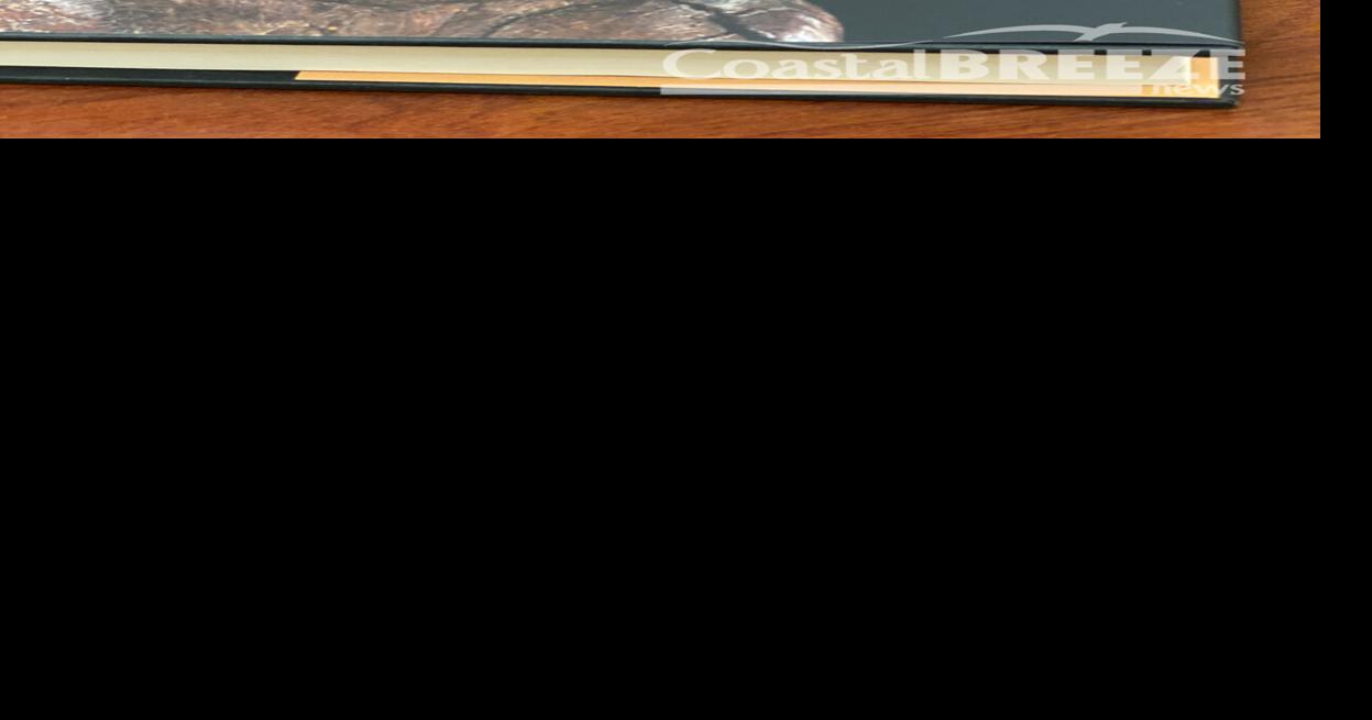 The Nine Lives of the Key Marco Cat | Museums | coastalbreezenews.com