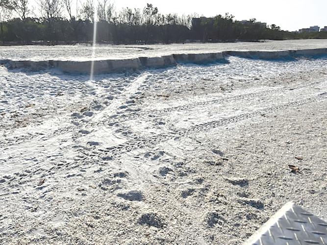 What is a False Crawl | Environment | coastalbreezenews.com