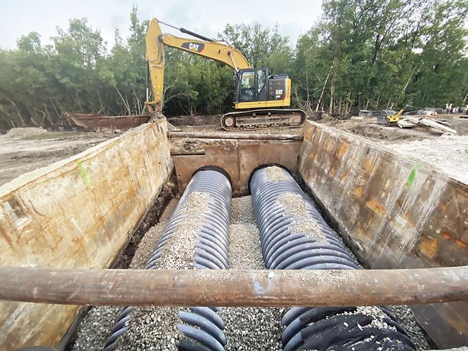 Record $3.3 Million Mangrove Restoration Complete | Environment ...