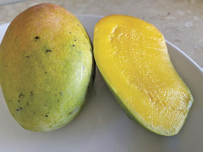 It's a Sweet Start to Mango Season | | coastalbreezenews.com