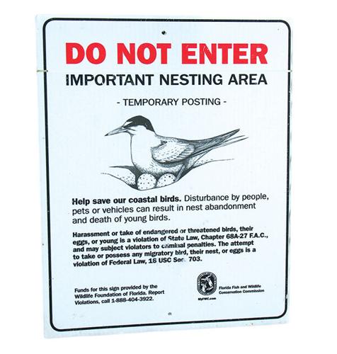 sand dollar inside bird