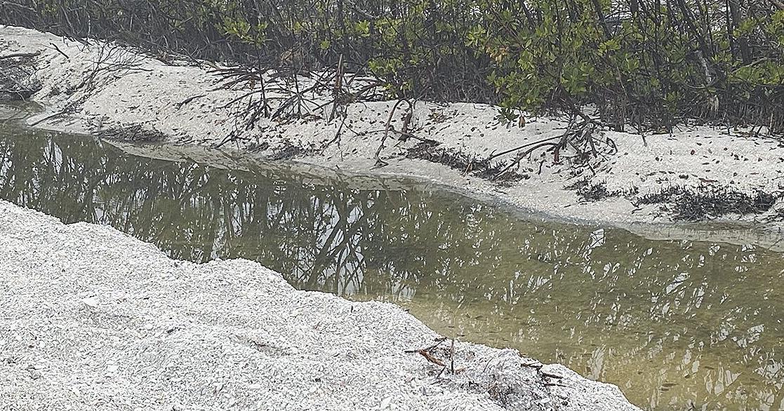 January Berm Project Update | What’s the Price of Sand? | News ...