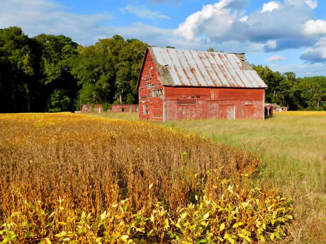 coastalpoint.com | The Local Voice of Your Community