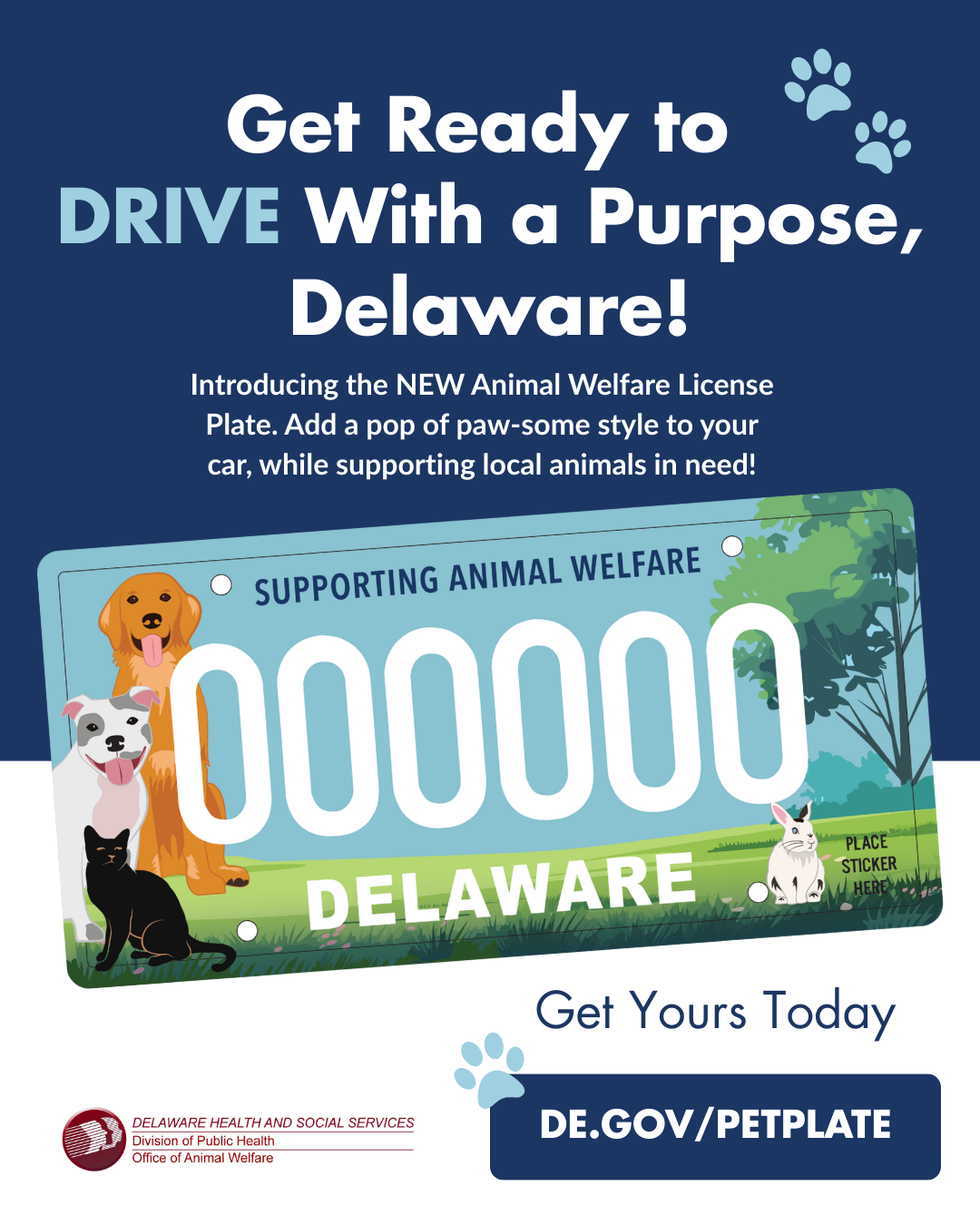 New animal welfare license plate to help protect animals | State ...