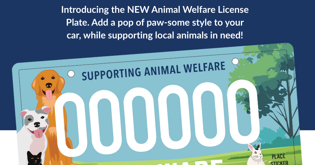 New animal welfare license plate to help protect animals | State ...