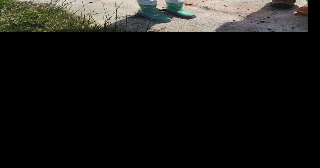 Pollinators grab spotlight at garden center | Lifestyle | coastalpoint.com