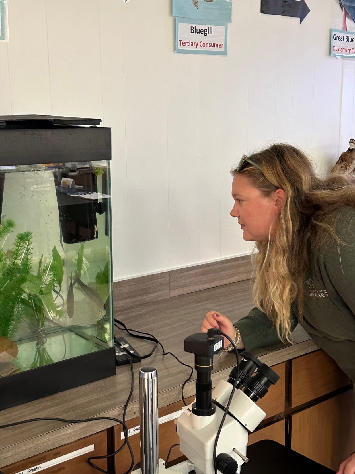 Outdoor Education Center reveals the wonders of nature at Ingram Pond ...