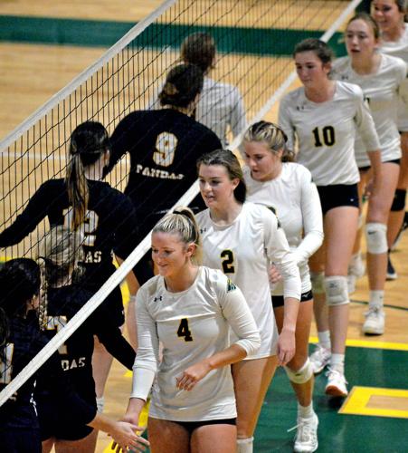 IRHS girls' volleyball returns to DIAA playoffs in 2022 | Sports ...