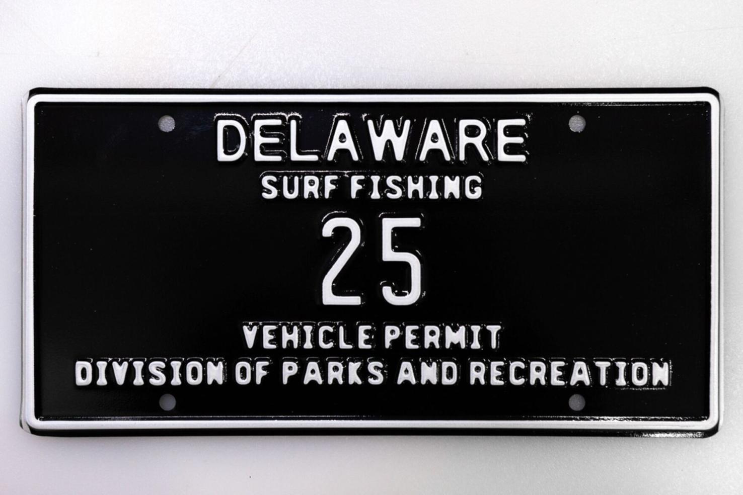 DNREC’s low-digit surf-fishing tag auction starts Nov. 22 | State ...