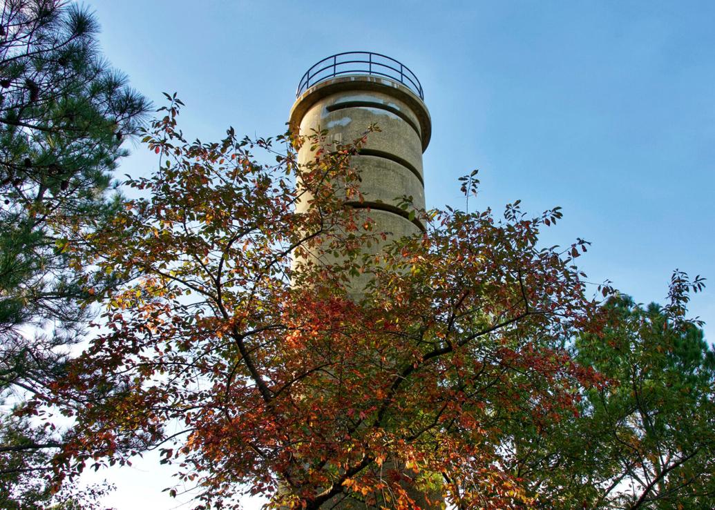 Lifestyle | coastalpoint.com