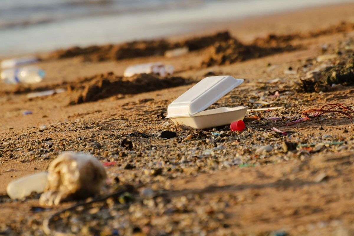 Carryout containers can’t be ‘Styrofoam’ starting on July 1 | State ...