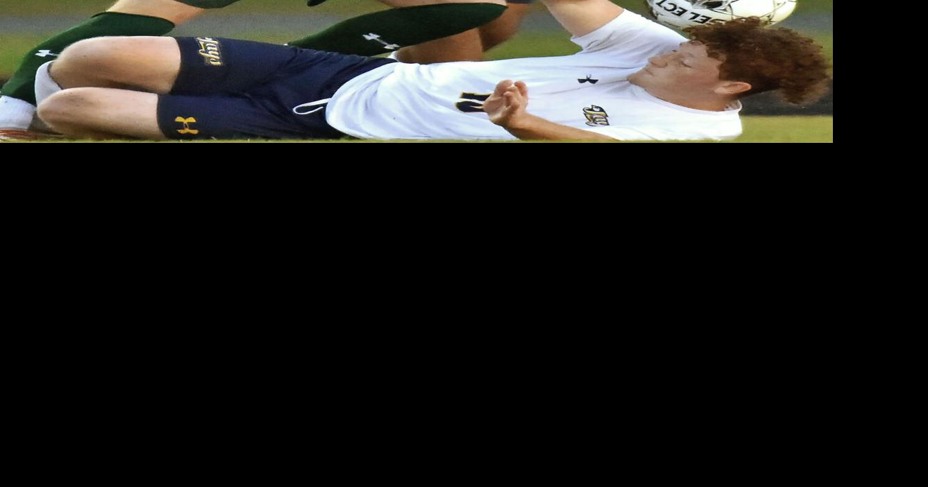 Williamson, Retzos and Chester earn DIAA All State honors | Sports ...