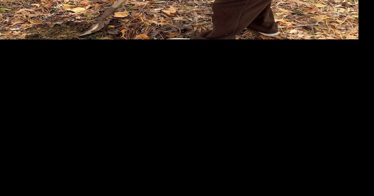 Kitty Cole presented with proclamation in celebration of 100th birthday ...