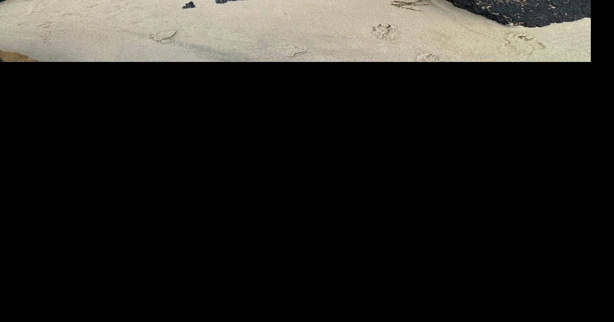 Roadway debris field unearthed at Coin Beach | State | coastalpoint.com