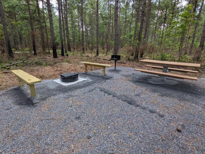 Delaware Forest Service opens campsites reservation portal | State ...