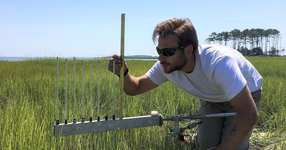 Celebrate Earth Day with ‘Marsh Madness’ salt marsh tours | Green ...