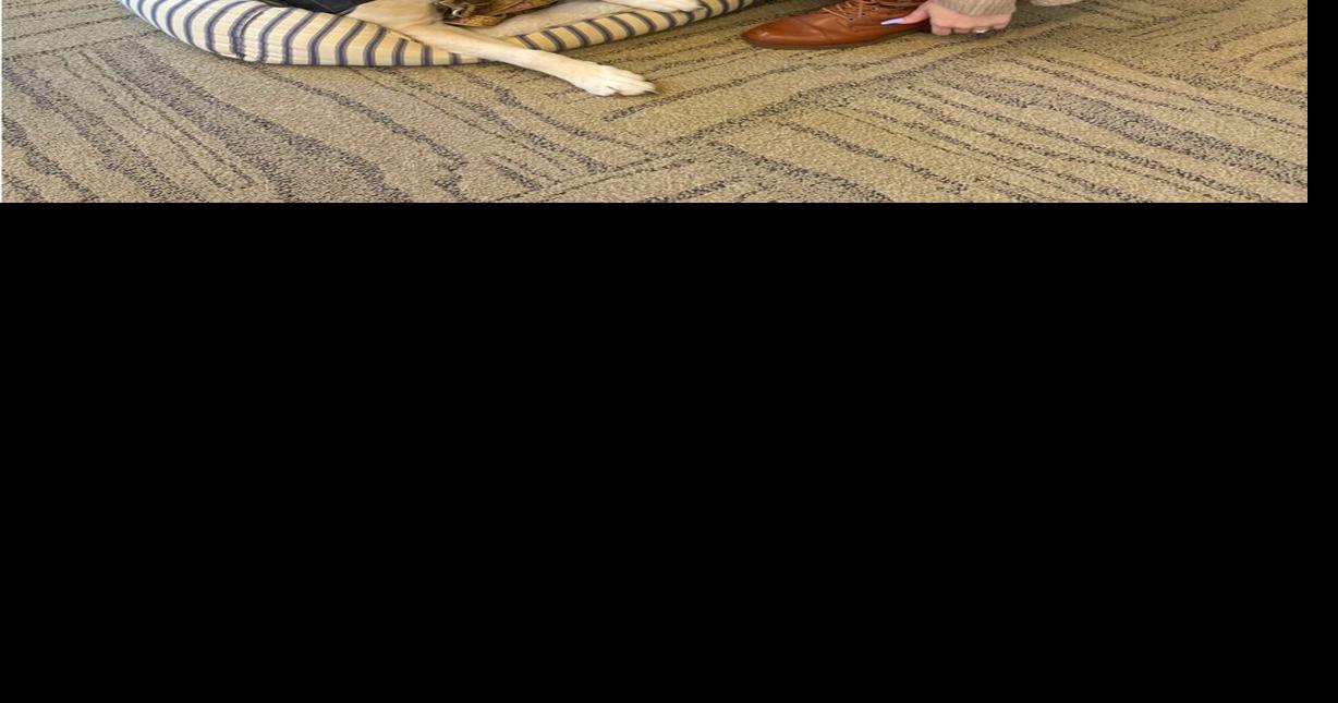 Rosebud provides valuable service for her owner | Lifestyle ...