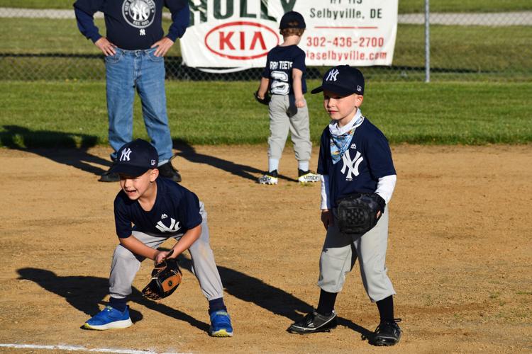 Play ball! | Sports | coastalpoint.com