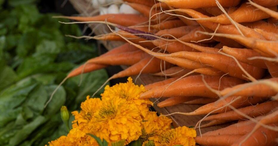 DBCC offering healthy-cooking program | Health | coastalpoint.com