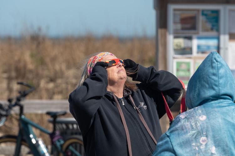 Staring at the Sun | Point Pics | coastalpoint.com